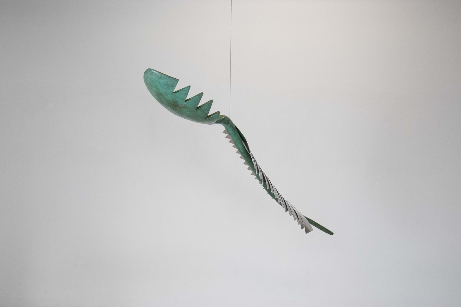 Katinka Bock au Crac de Sète | AICA-France