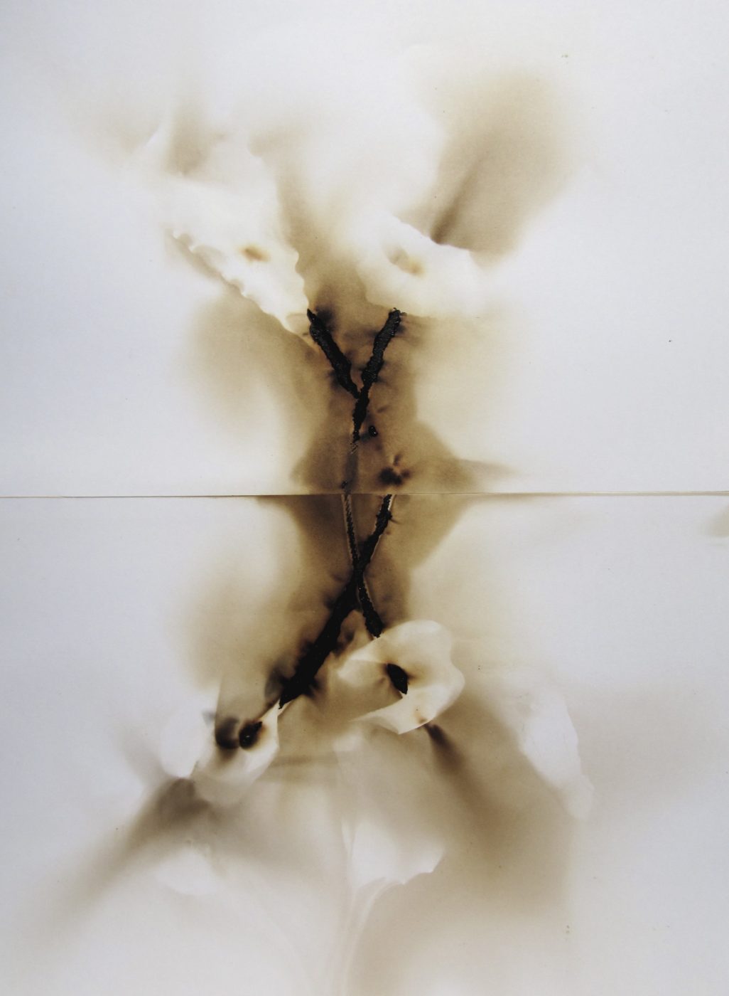 Christian Jaccard au Musée Fabre... | AICA-France